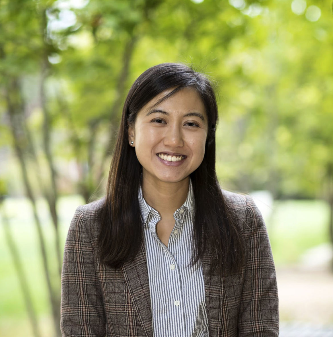 Anne Meng - Democratic Erosion